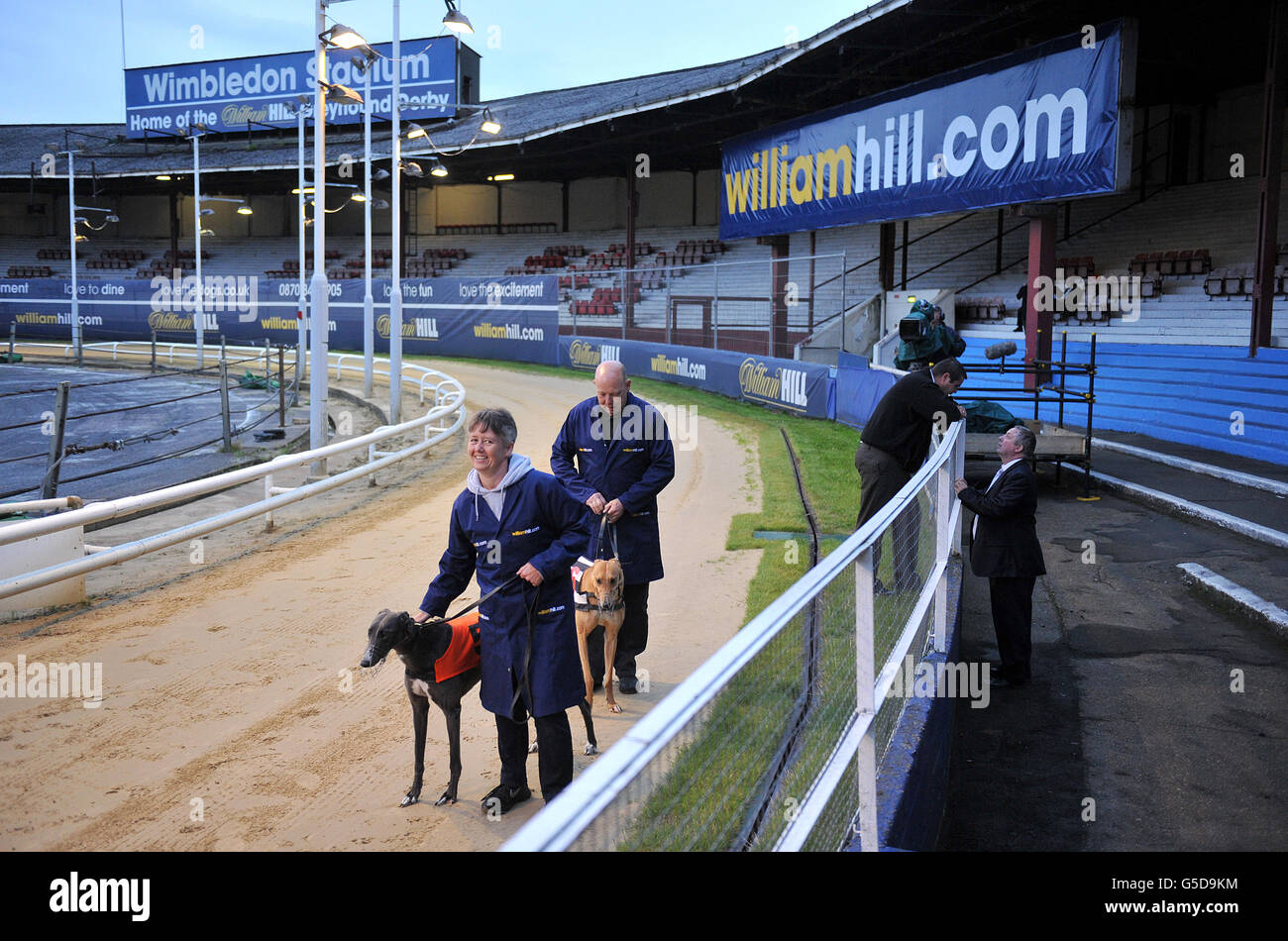 Greyhounds are lead to the starting traps during the Williamhill.com ...