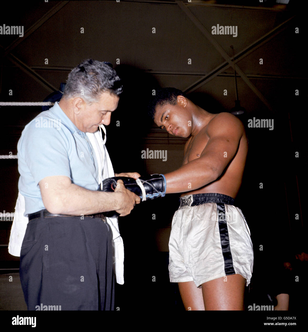 Muhammad Ali has his gloves strapped by Angelo Dundee Stock Photo - Alamy