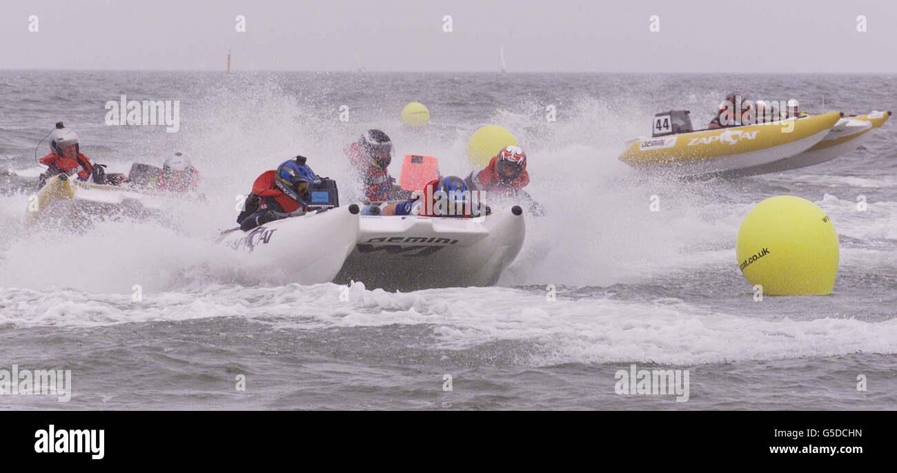 Zap Cat racing Stock Photo - Alamy