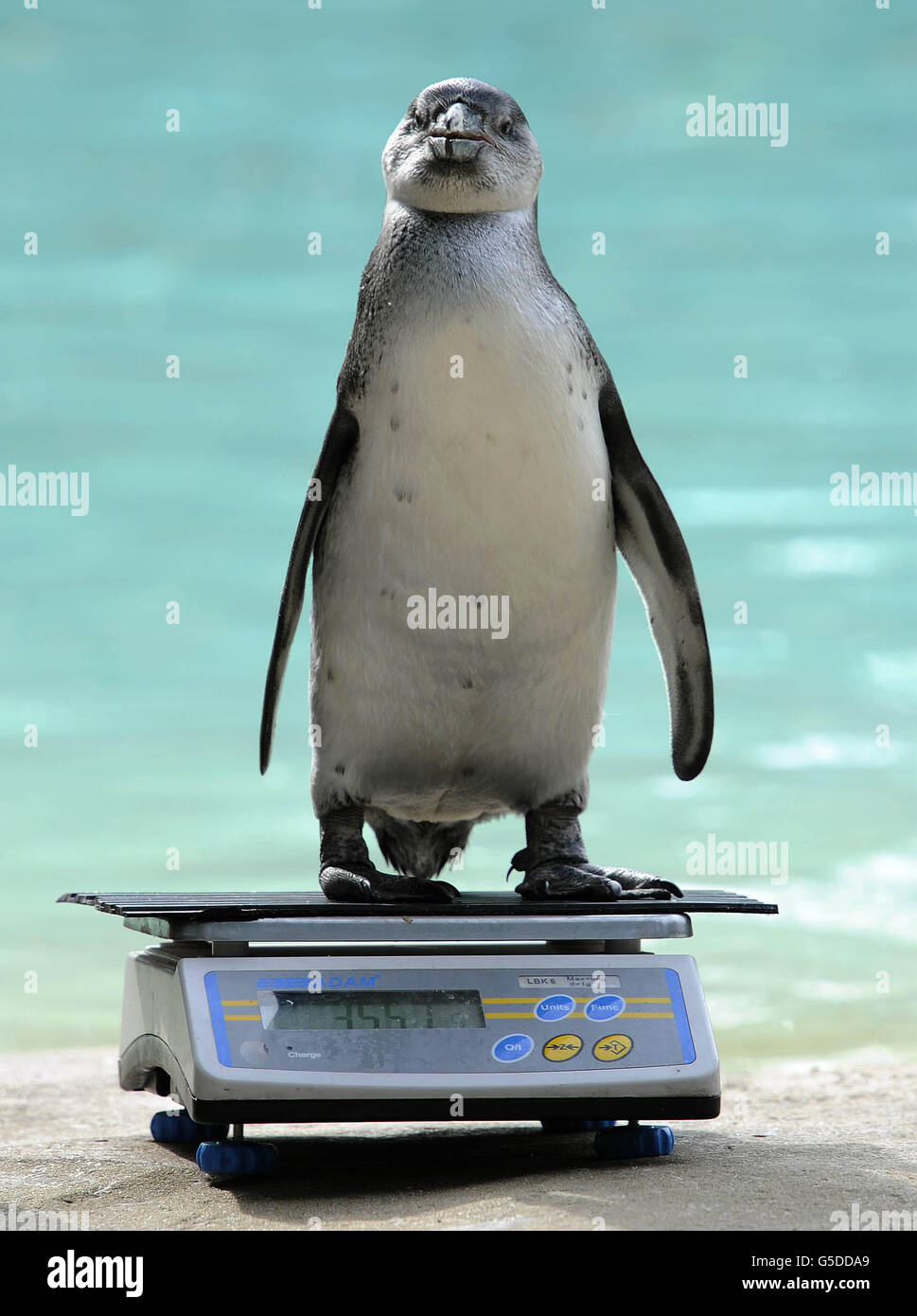 Monitor every part hi-res stock photography and images - Alamy