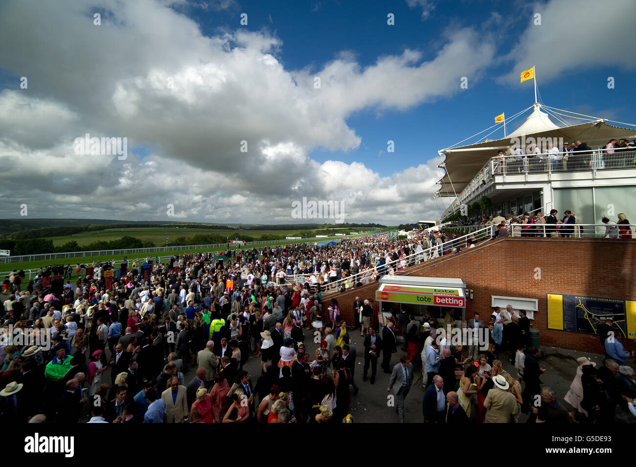 Horse Racing - 2012 Glorious Goodwood Festival - Ladies' Day - Goodwood ...