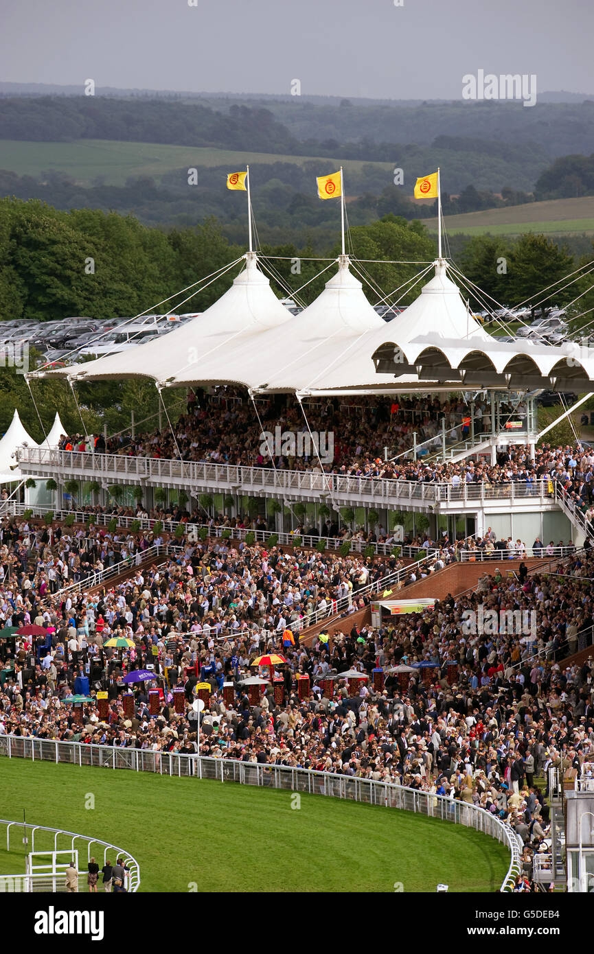 Horse Racing - 2012 Glorious Goodwood Festival - Blue Square Stewards ...