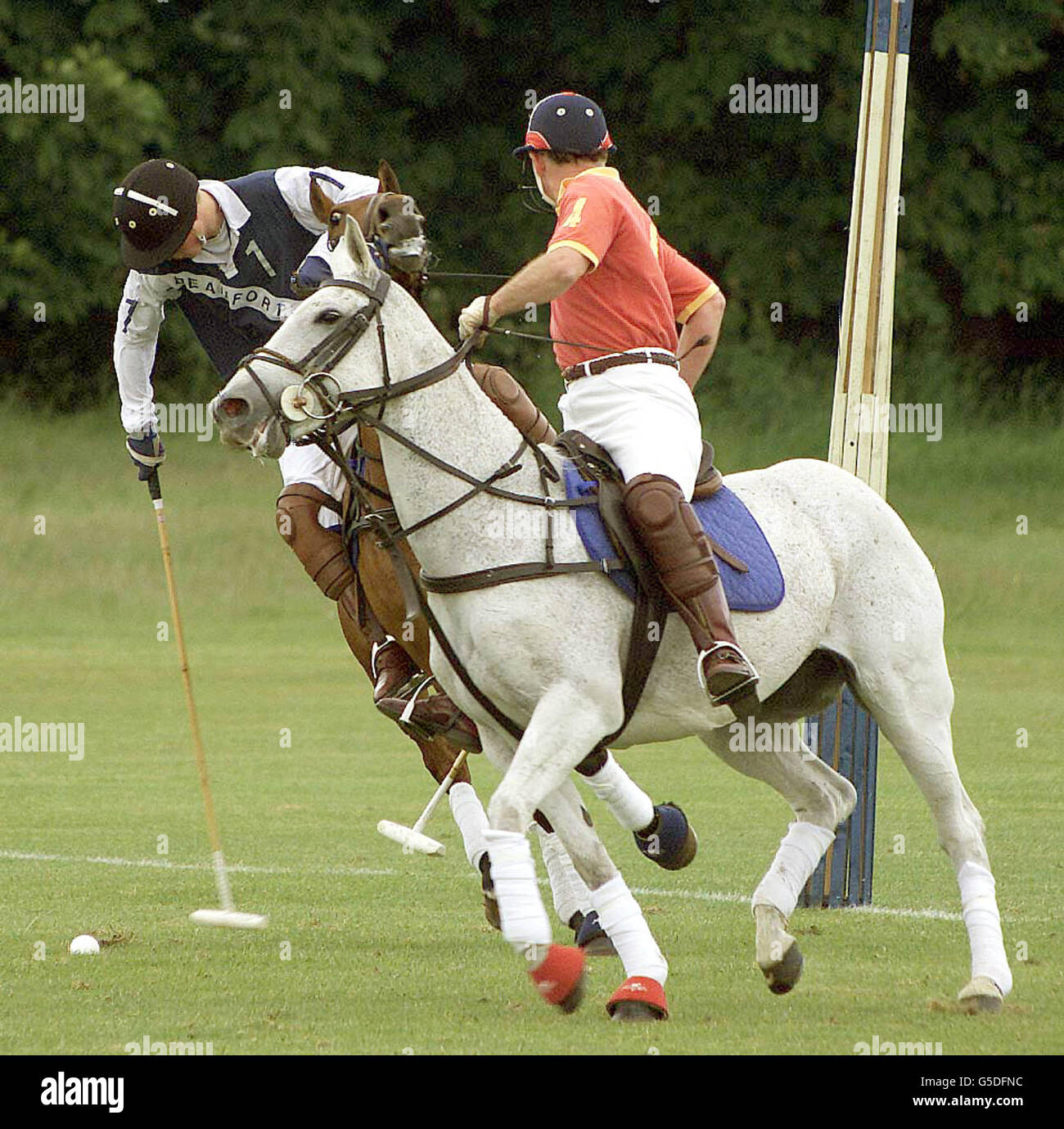 Prince Charles Polo Horse Stock Photos & Prince Charles Polo Horse ...