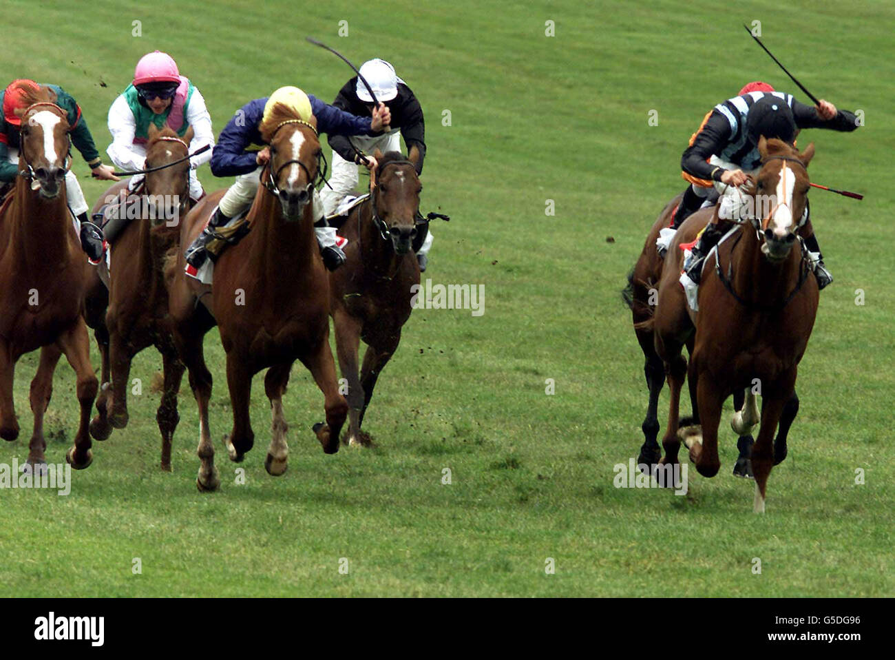 Newmarket Racing O'Neill Drowne Stock Photo - Alamy