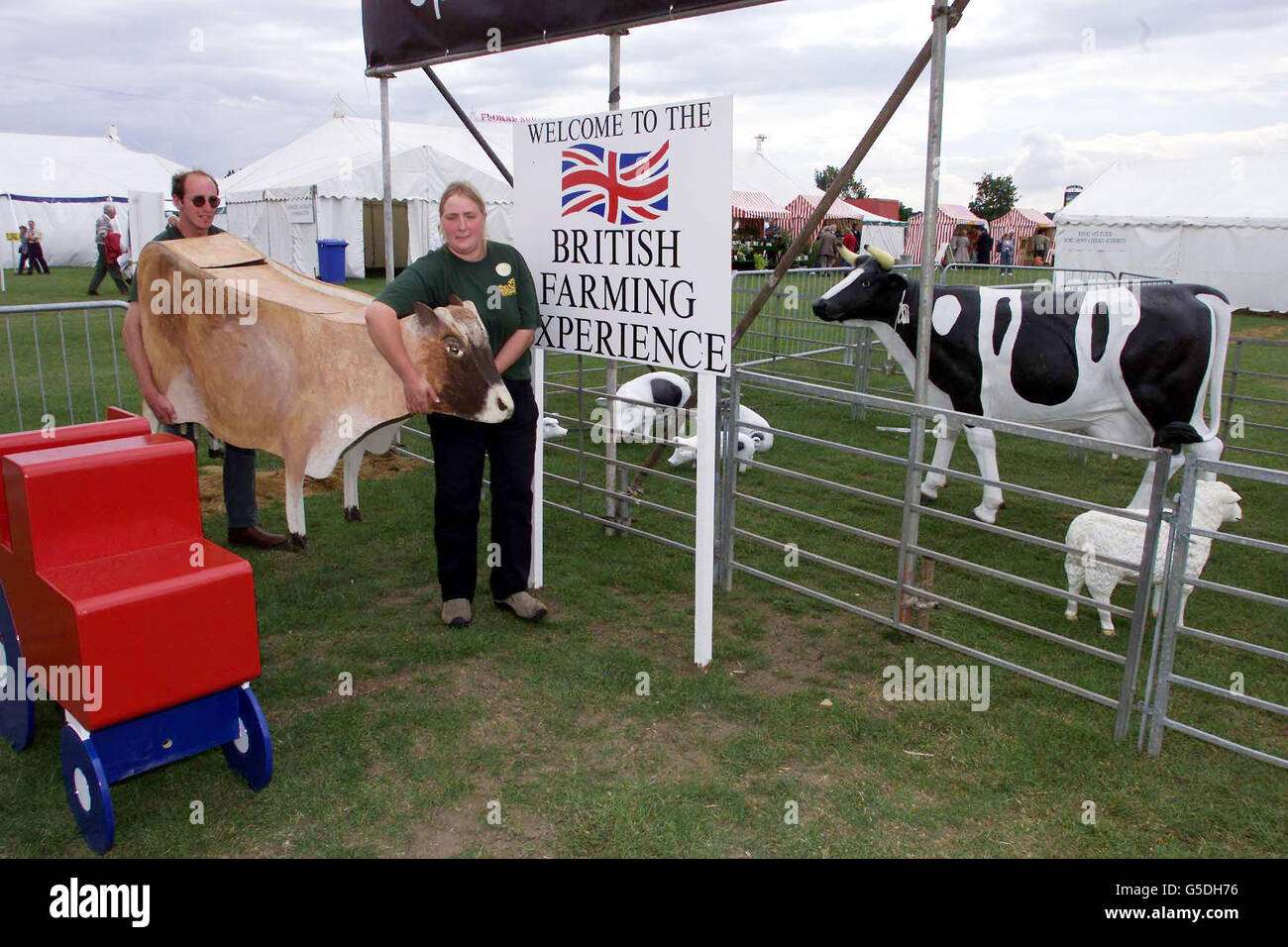 Despite fact organisers decided include any cattle hi-res stock ...