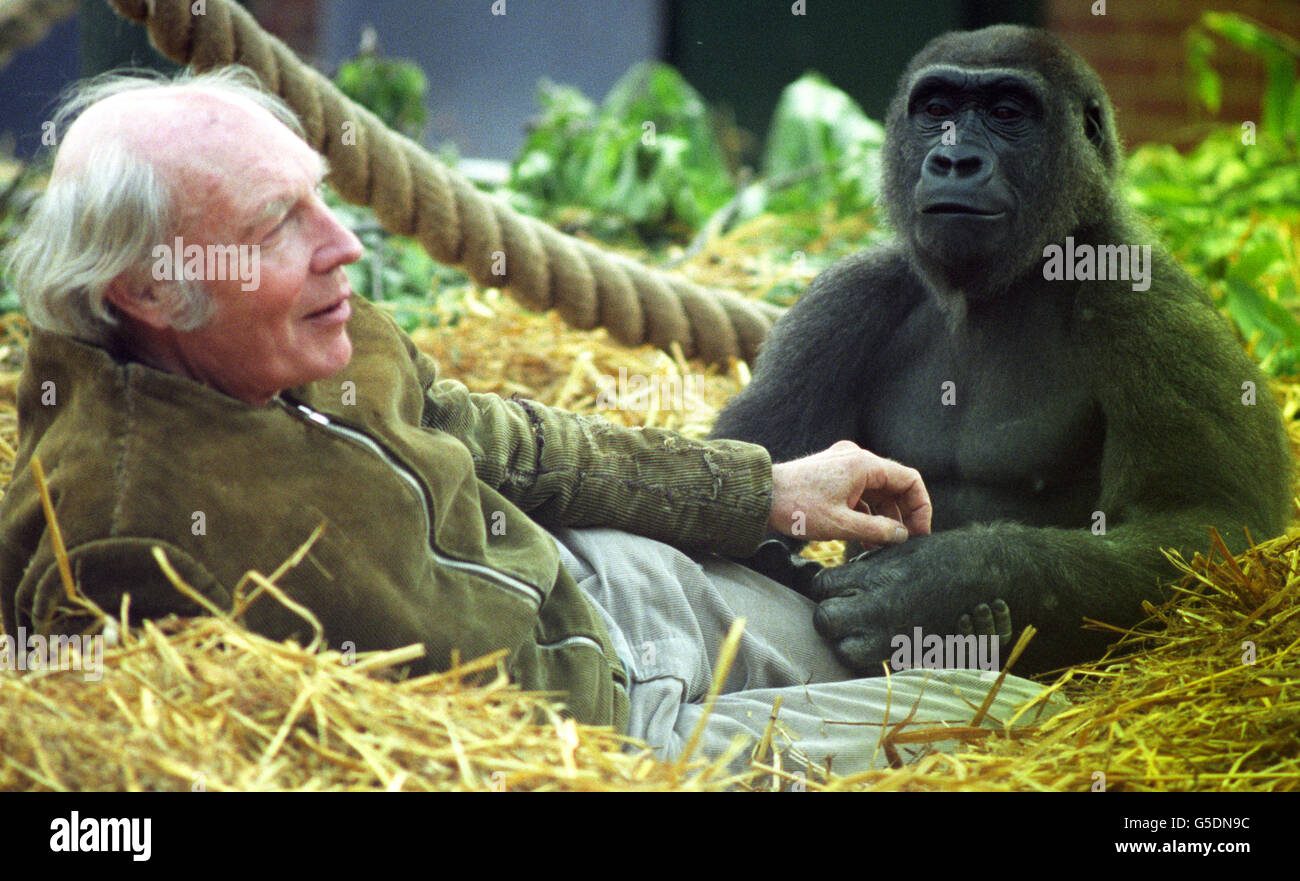 Millionaire conservationist and zoo owner John Aspinall doing what he ...