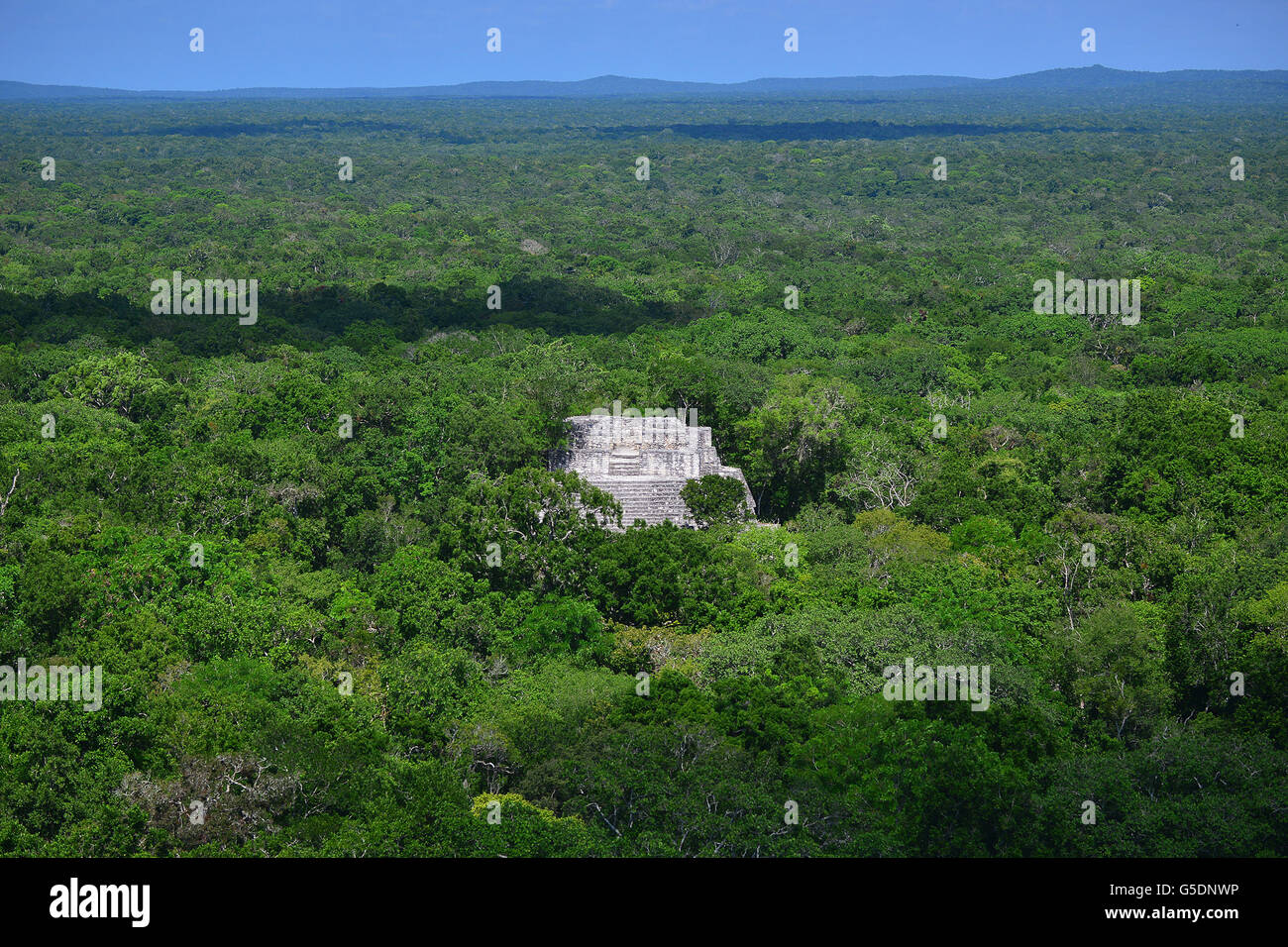 Calakmul, mayan pyramid hi-res stock photography and images - Alamy