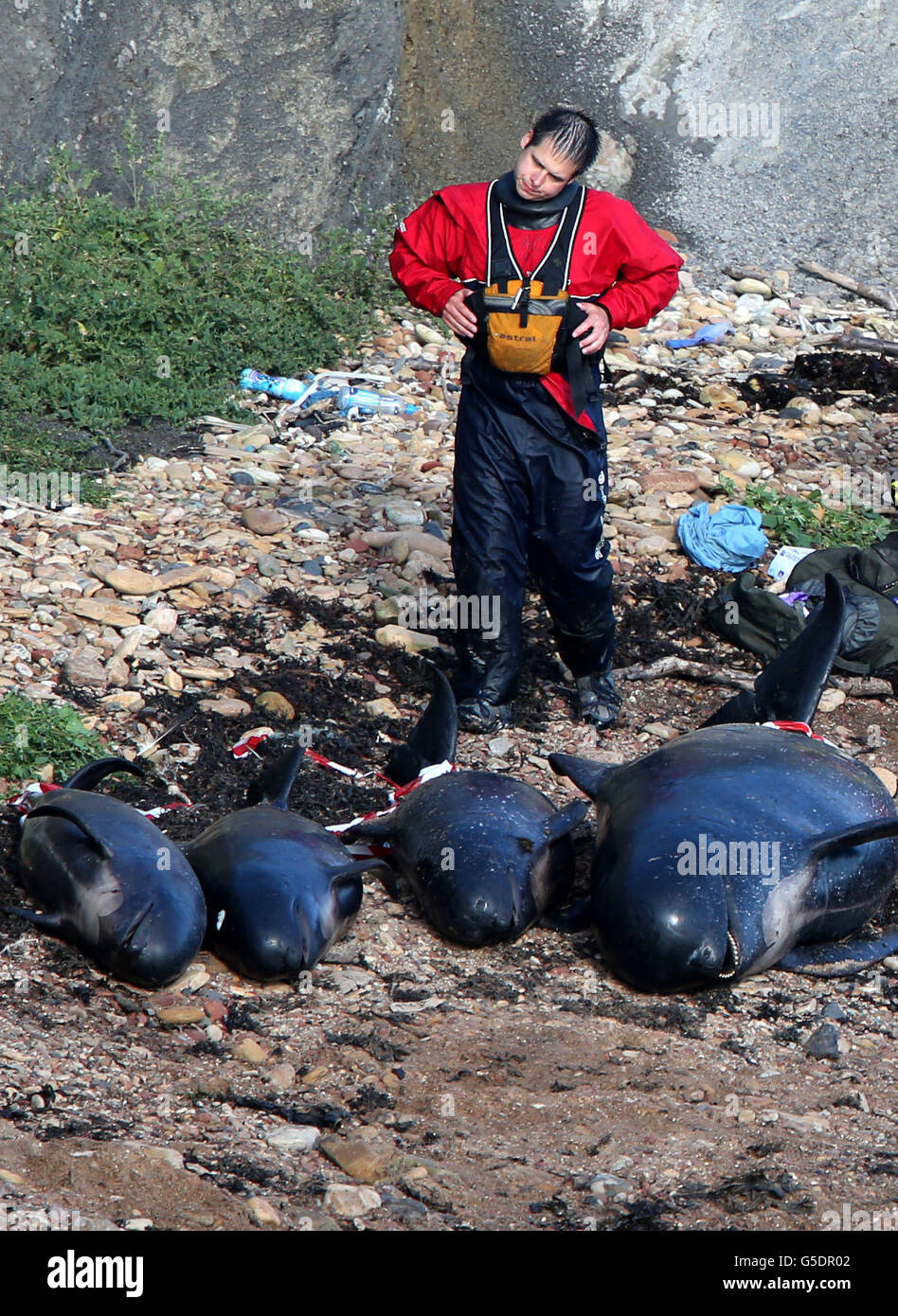 Dead pilot hi-res stock photography and images - Alamy