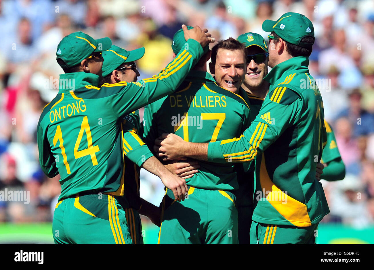 South Africa's Dale Steyn celebrates England's Ravi Bopara wicket ...