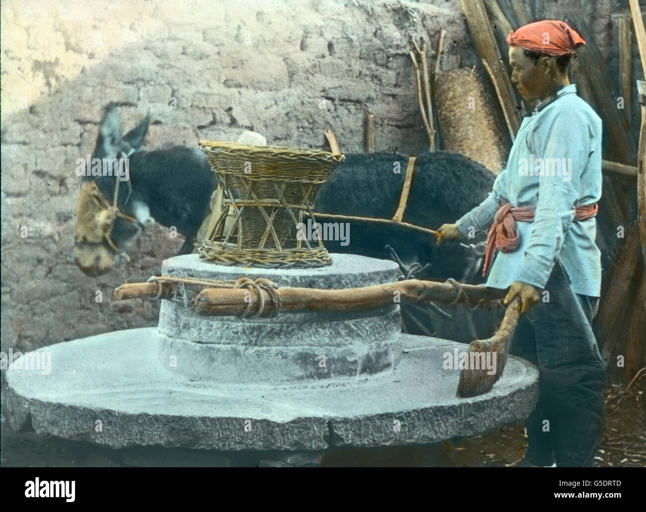 Reisernte japan hi-res stock photography and images - Alamy