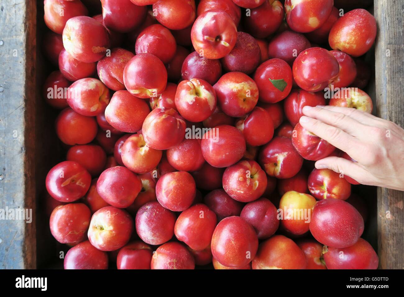 Whole nectarines hi-res stock photography and images - Alamy