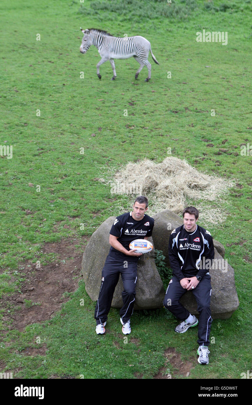 Edinburgh zoo zebra hi-res stock photography and images - Alamy