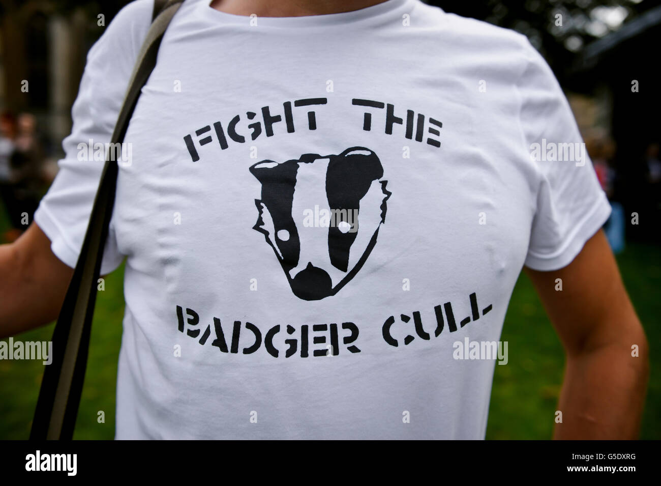 Proposed badger cull. A woman wears an ' love badgers' badge Stock ...