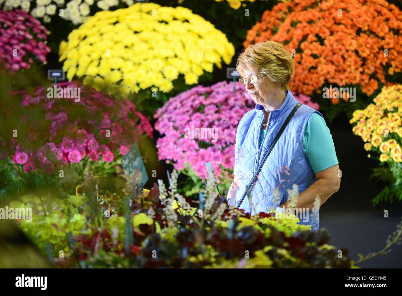 Harrogate Flower Show Stock Photos & Harrogate Flower Show Stock Images ...