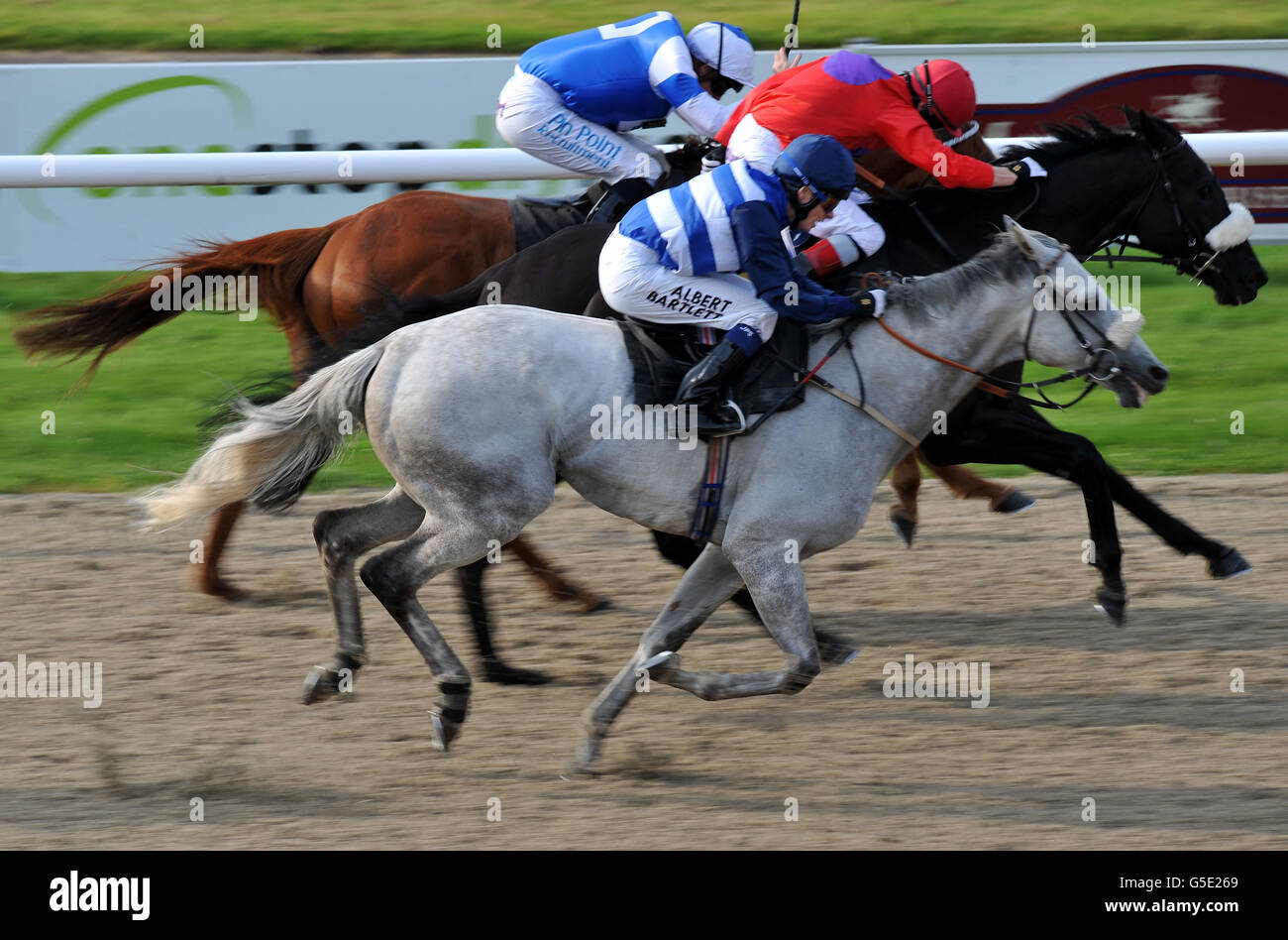 Horse Racing - Wolverhampton Races Stock Photo - Alamy