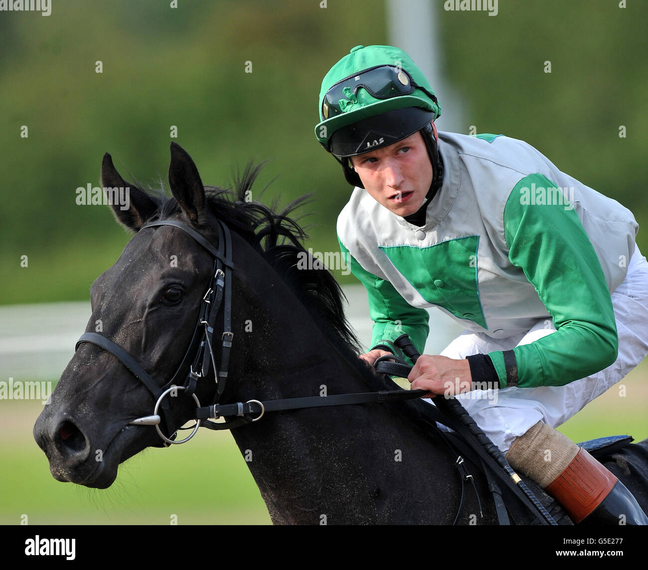Horse Racing - Wolverhampton Races Stock Photo - Alamy