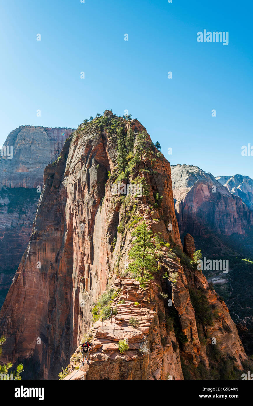 Rock formation Angels Landing, narrow path to the top, Zion National ...