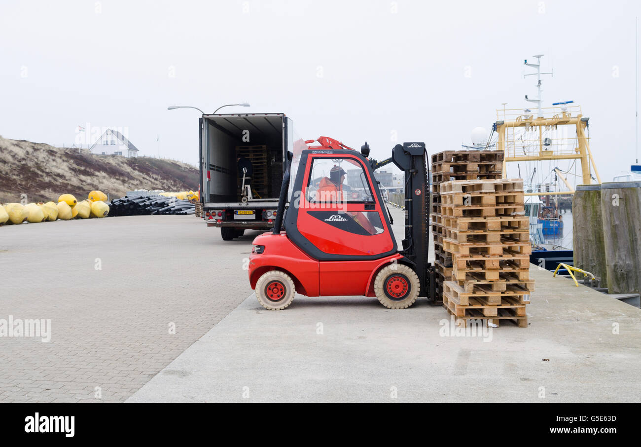 Mussels are loaded onto a truck, mussel fishery on the island of Sylt ...