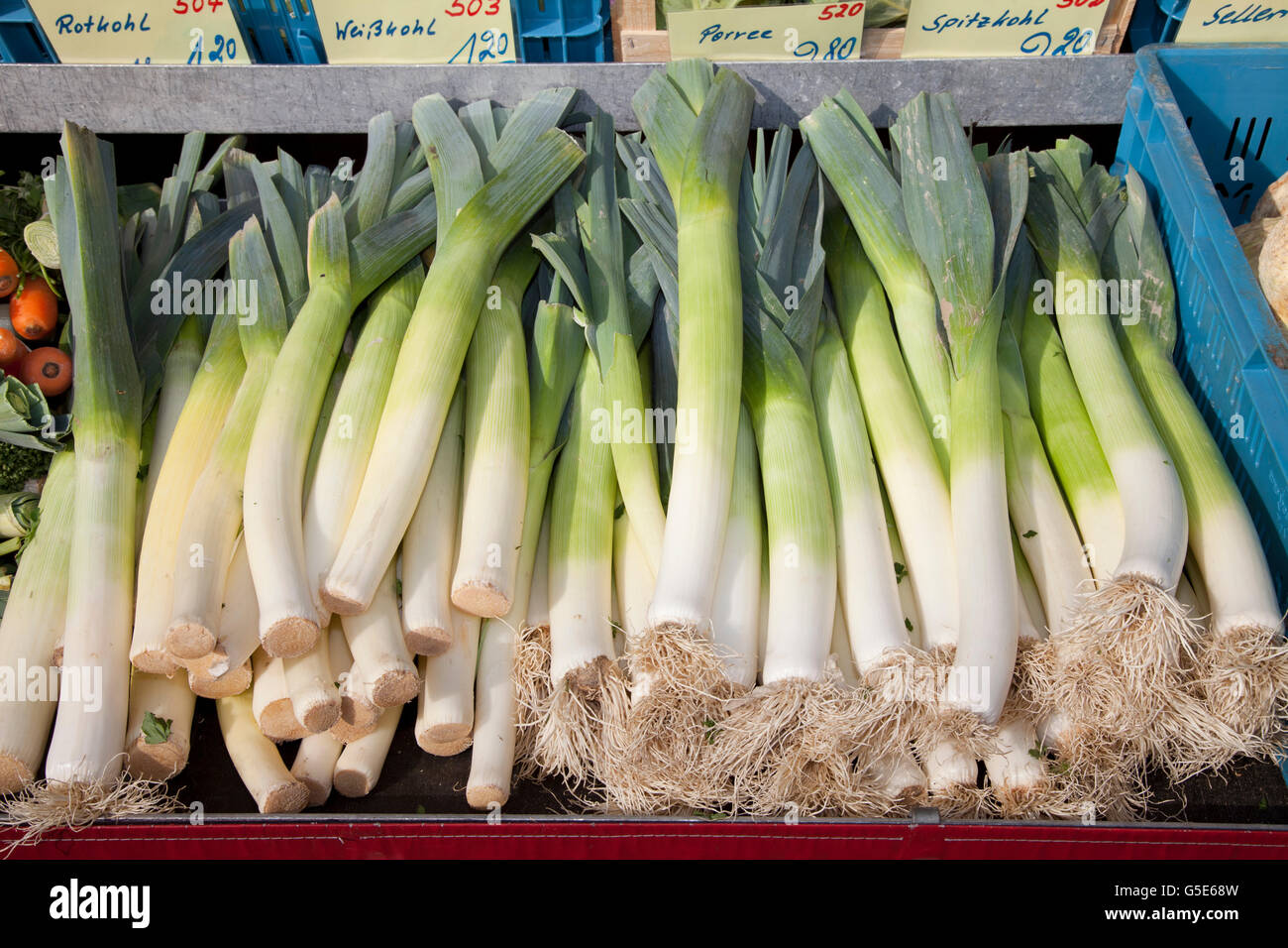 Leeks at a market stand, Dortmund, Ruhrgebiet region, North Rhine ...
