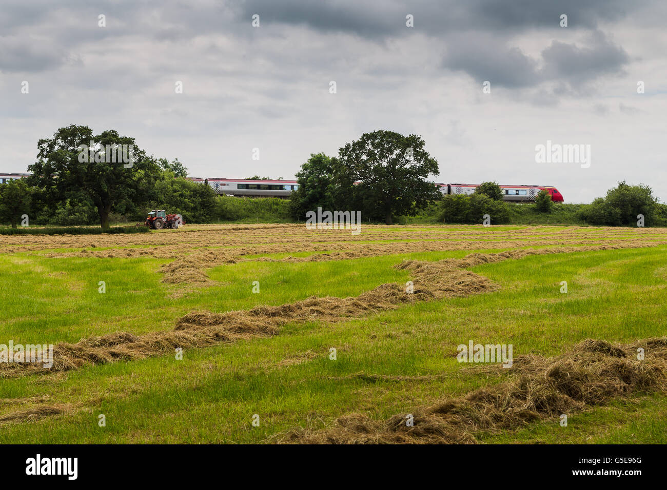 Seen between the Shropshire Union Canal & River Gowy in Cheshire Stock ...