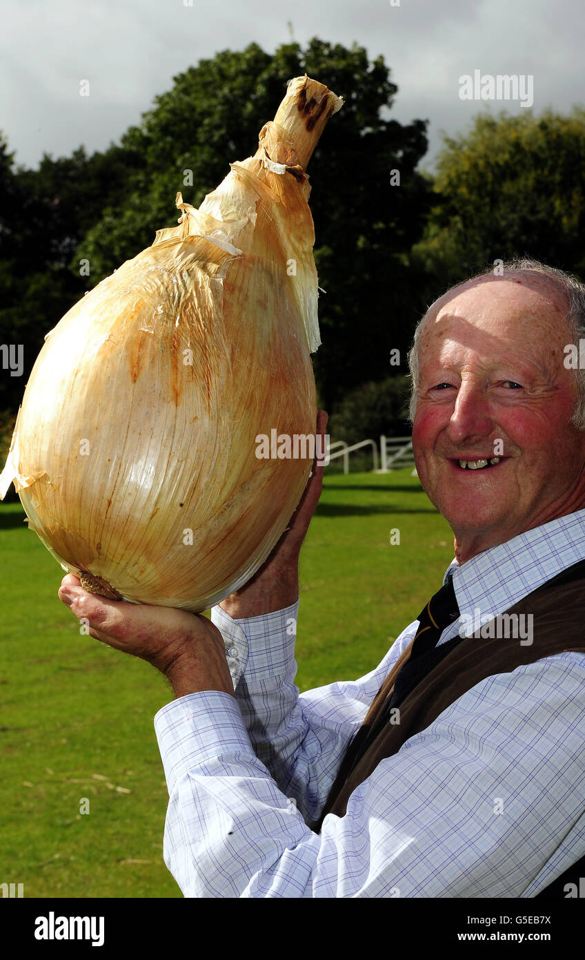 Peter Glazebrook from Newark with his world record breaking onion that ...