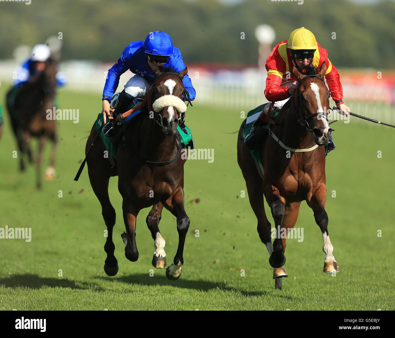 Horse Racing - 2012 Ladbrokes St Leger Festival - The Stobart Doncaster ...