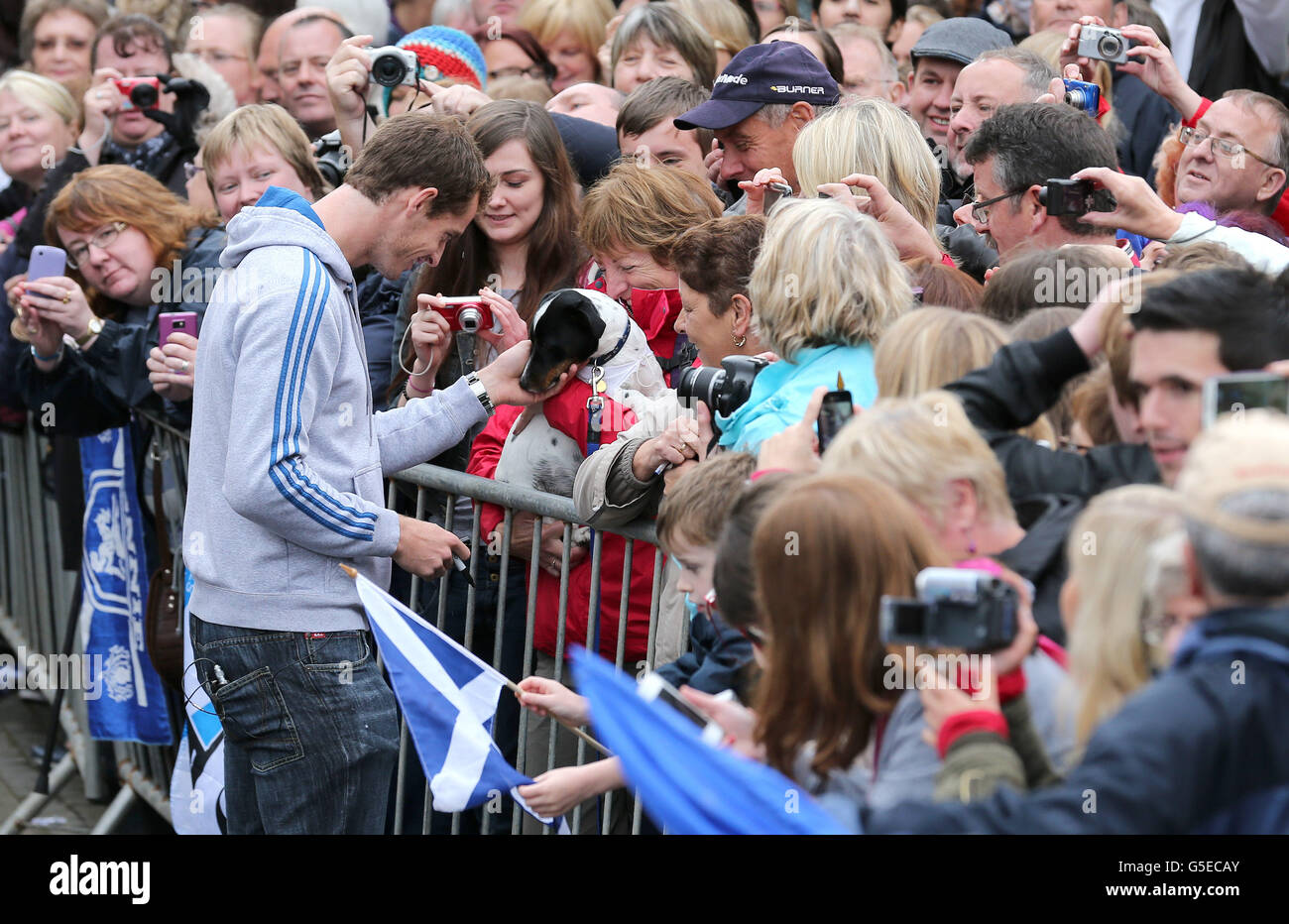 Andy dog hi-res stock photography and images - Alamy