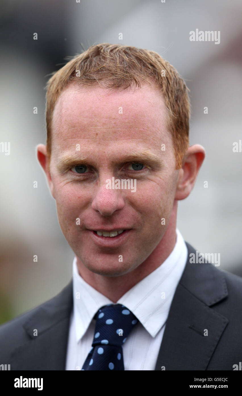 David darley hi-res stock photography and images - Alamy