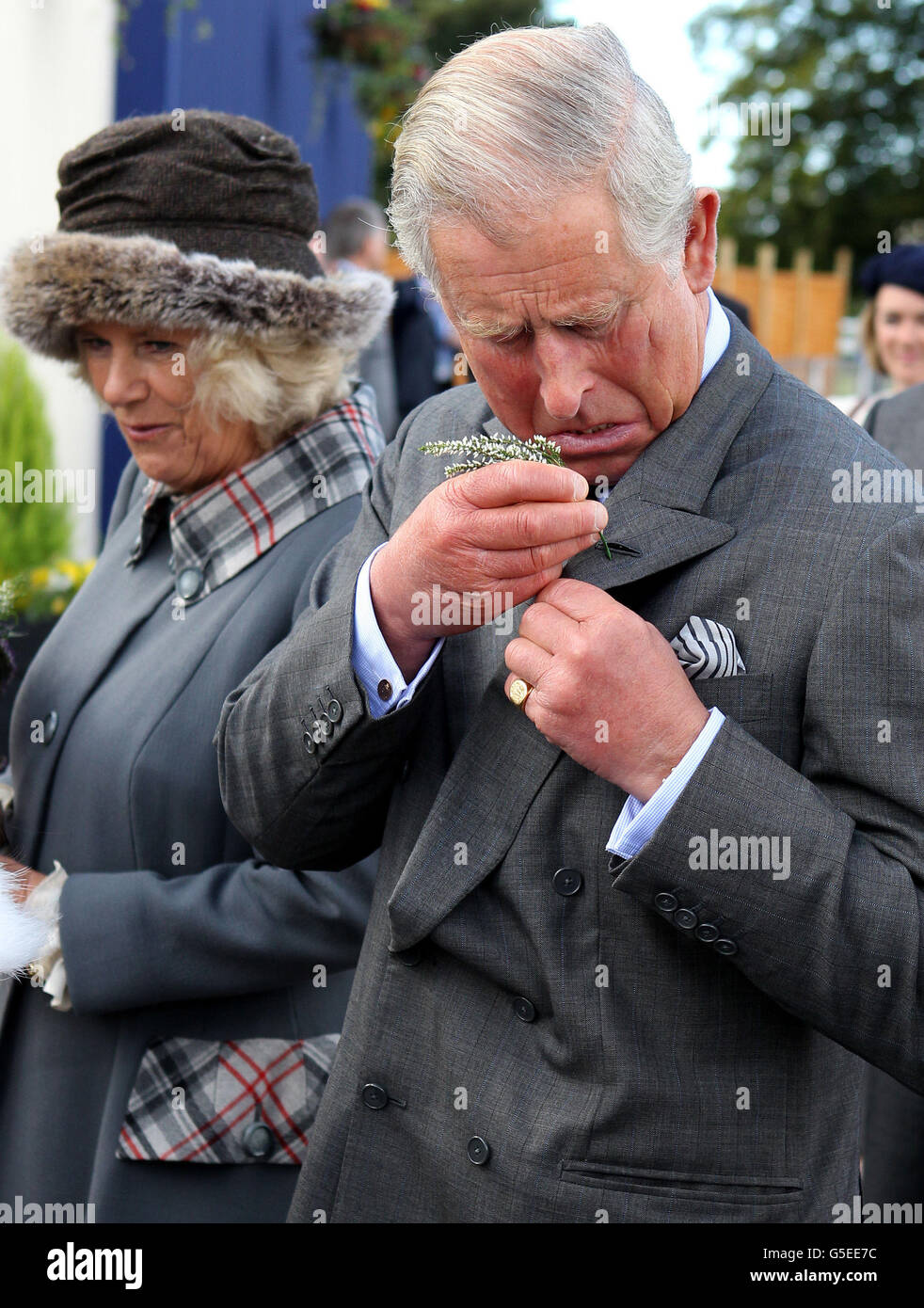 Prince of Wales in Scotland Stock Photo - Alamy