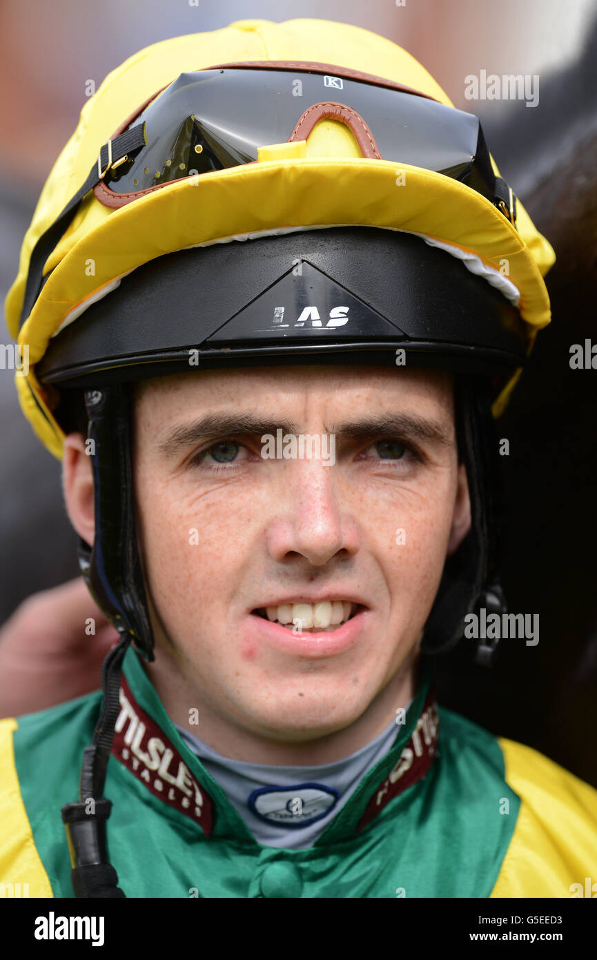 Horse Racing, Newbury. Jockey Martin Harley Stock Photo - Alamy