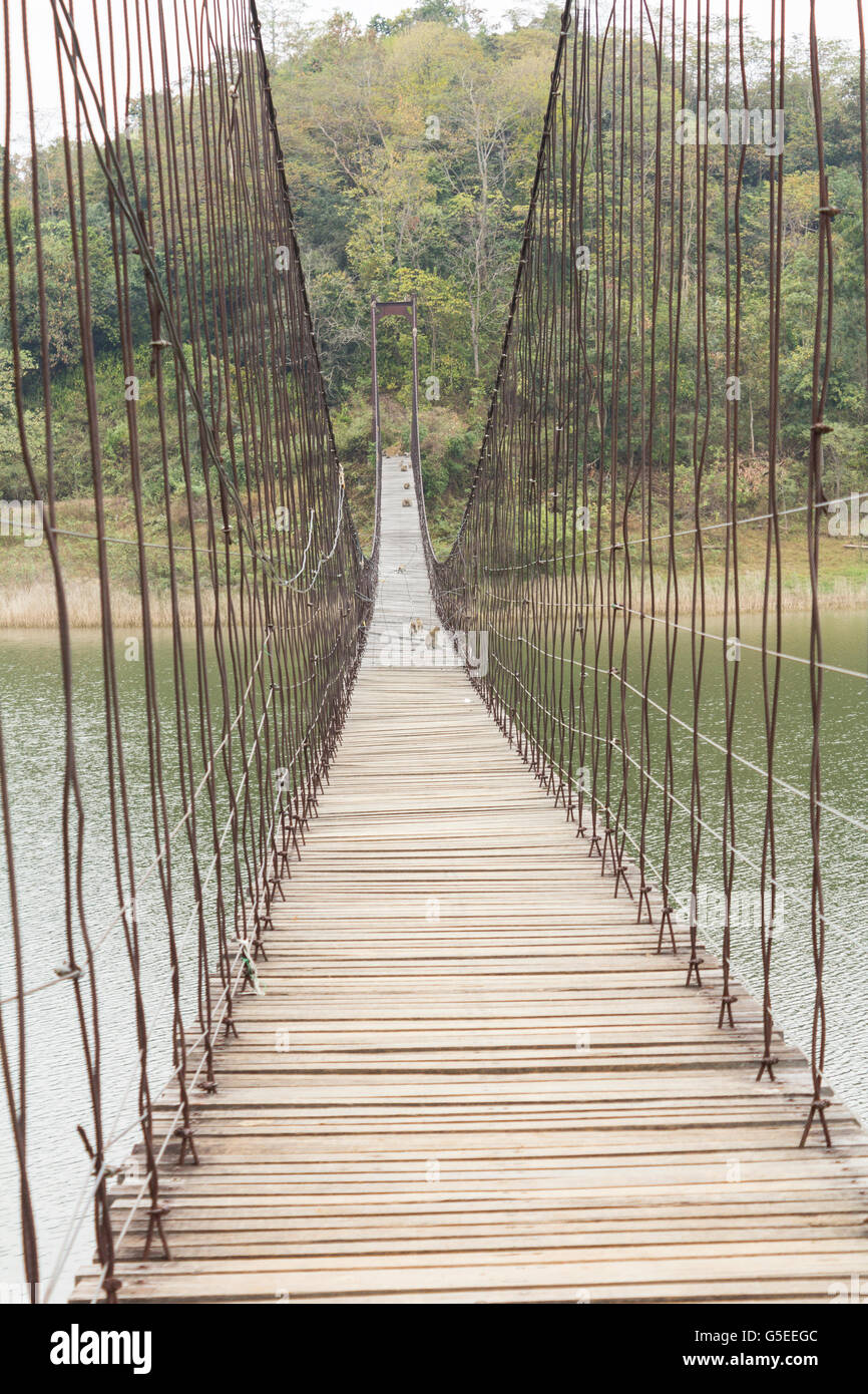 Suspension rope bridge above the lake path way to forest at Kaeng ...