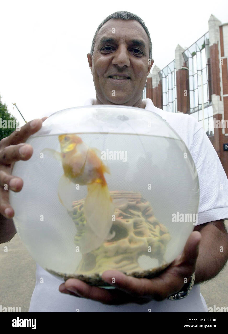 Bomb Blast Survivor High Resolution Stock Photography and Images - Alamy