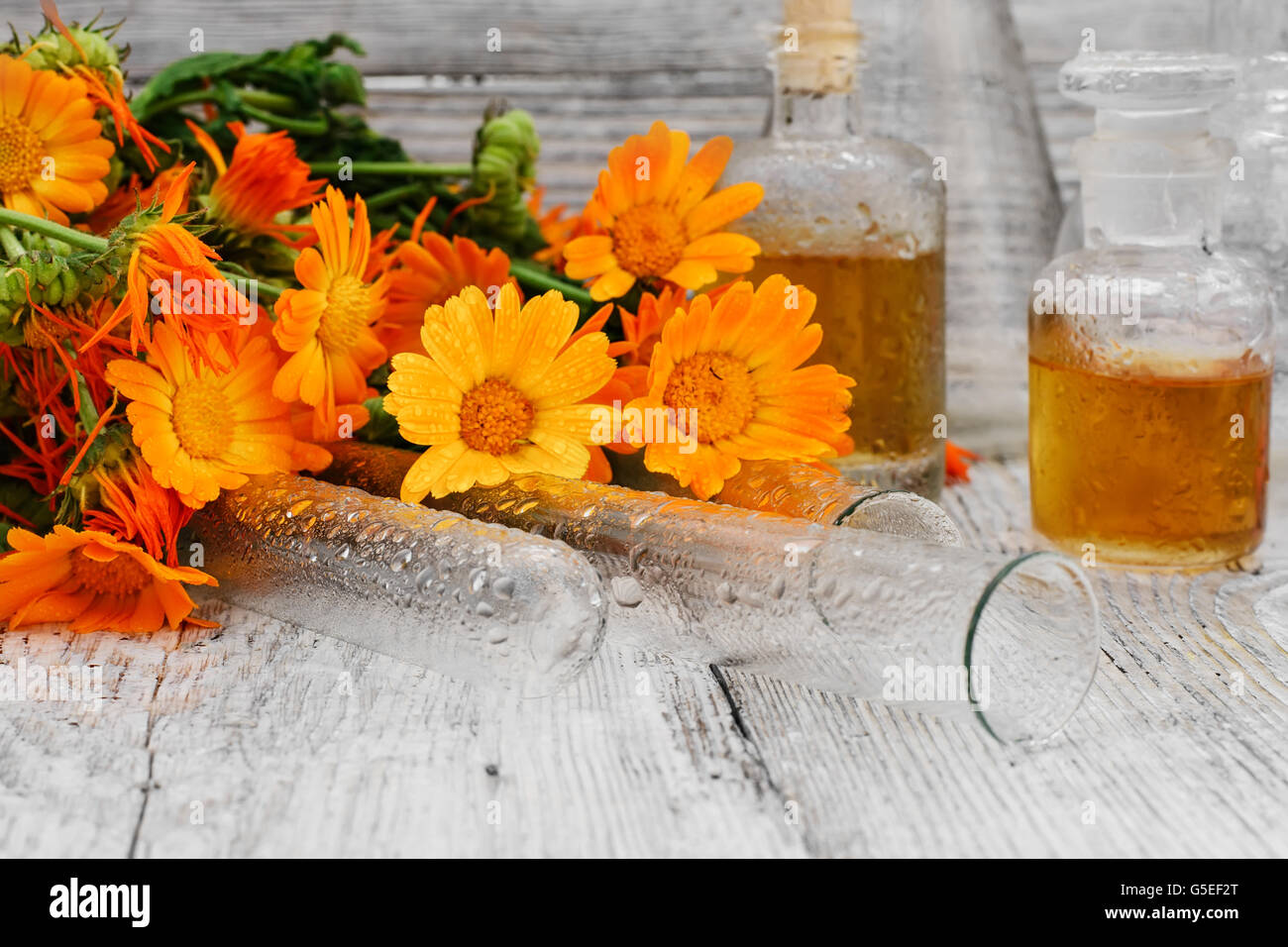 bottle of medicinal tincture of calendula flowers in folk recipe Stock ...