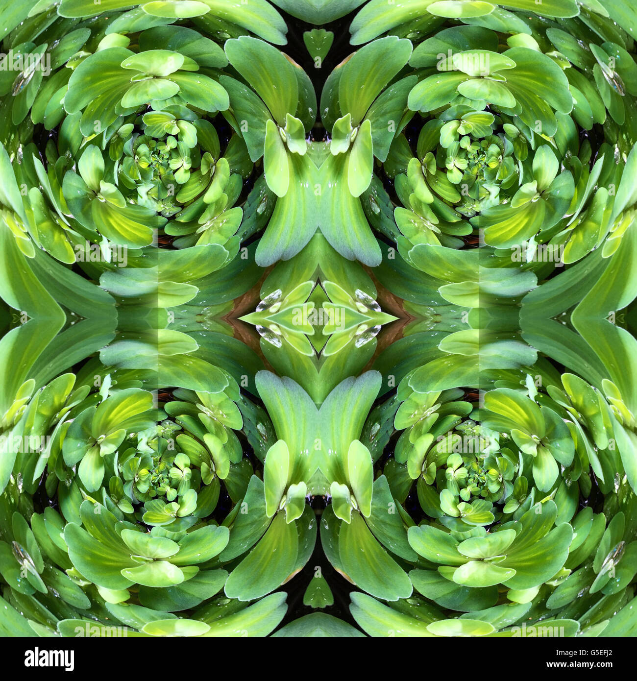 Abstract kaleidoscopic texture or background pattern design made from ...