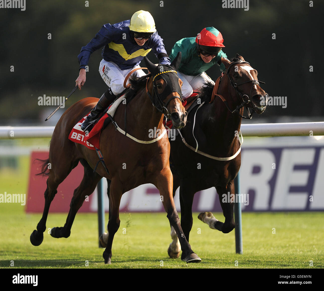 Fulbright horse hi-res stock photography and images - Alamy