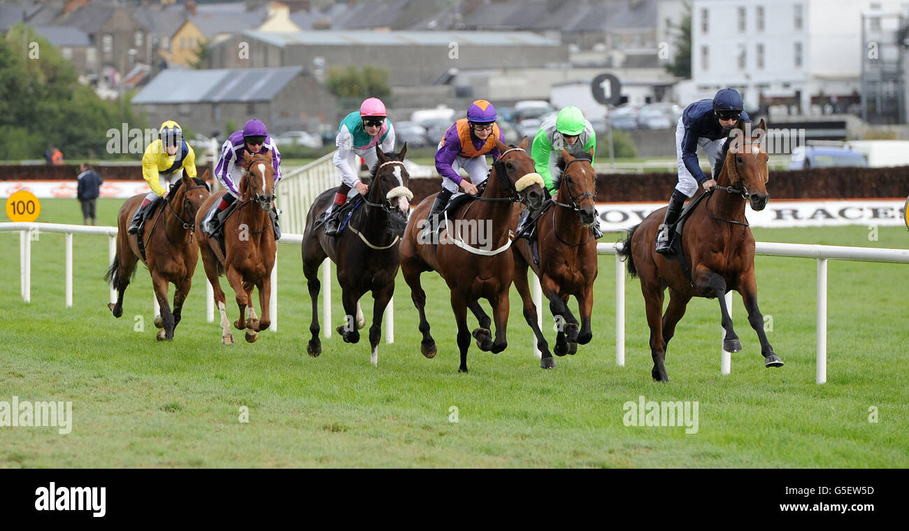 Horse Racing - Listowel Racecourse Stock Photo - Alamy