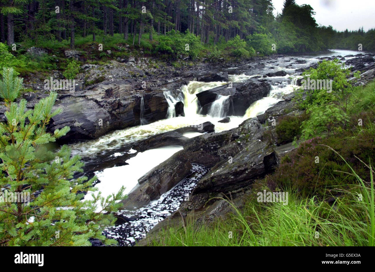 Drowning Zoubeda Mosafeer Stock Photo - Alamy