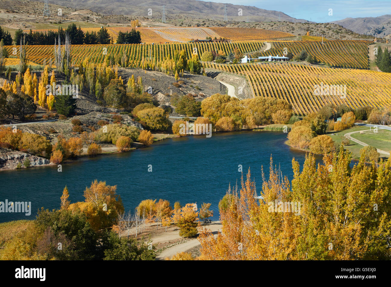 Autumn colours, Bannockburn Inlet, Lake Dunstan, Central Otago, South ...