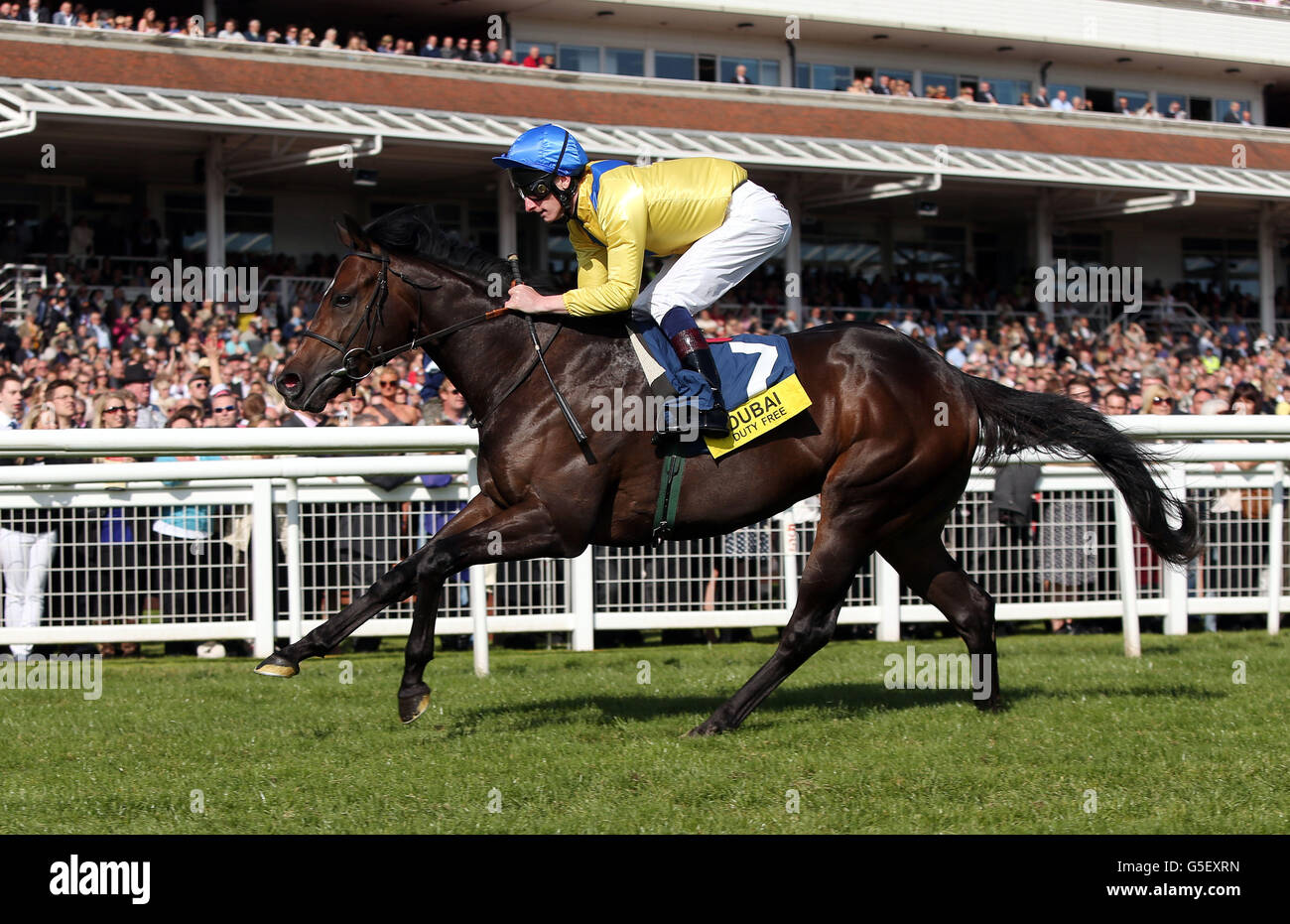 Mill reef horse hi-res stock photography and images - Alamy