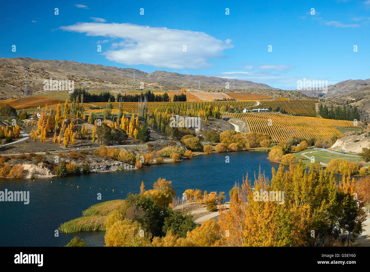 Gold fall colours hi-res stock photography and images - Alamy