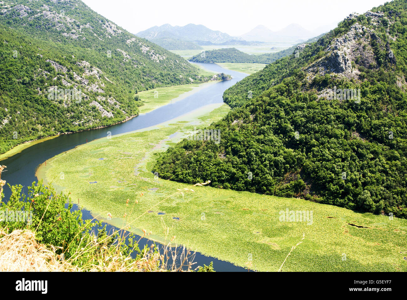 Crnojevic river, Montenegro Stock Photo - Alamy