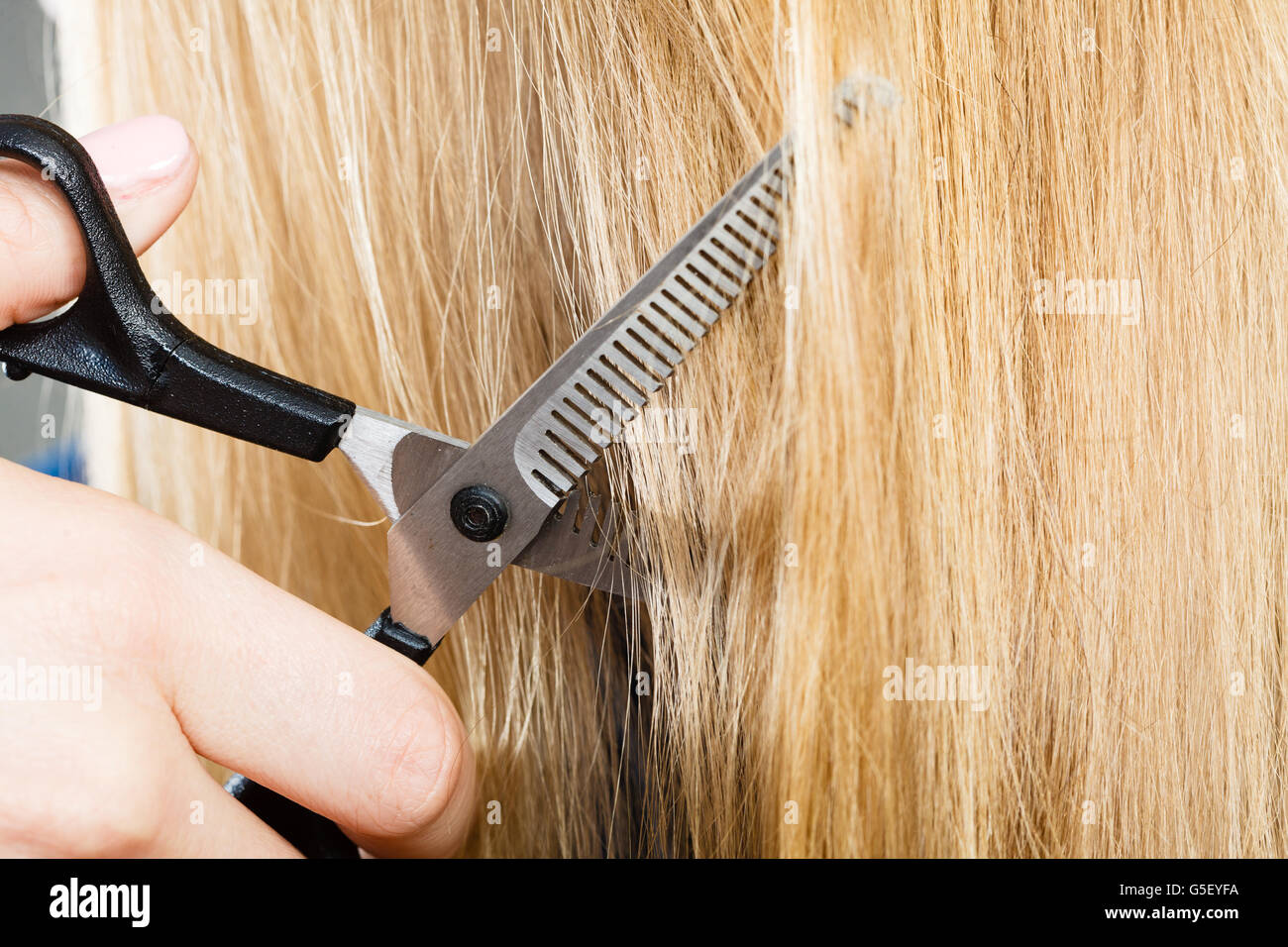 Professional cutting and barber shop. Close up of detail equipment ...