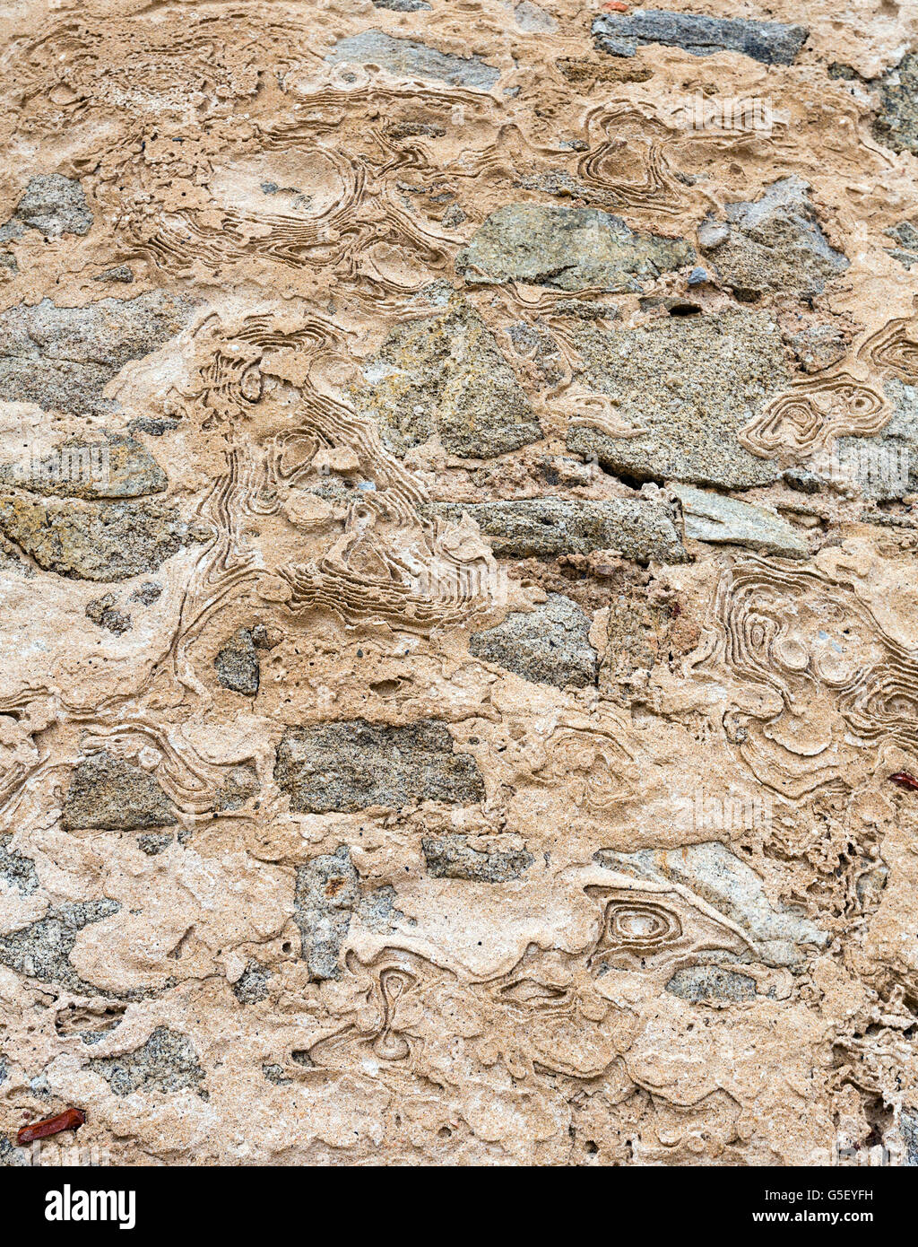 Stony wall close up, background Stock Photo - Alamy
