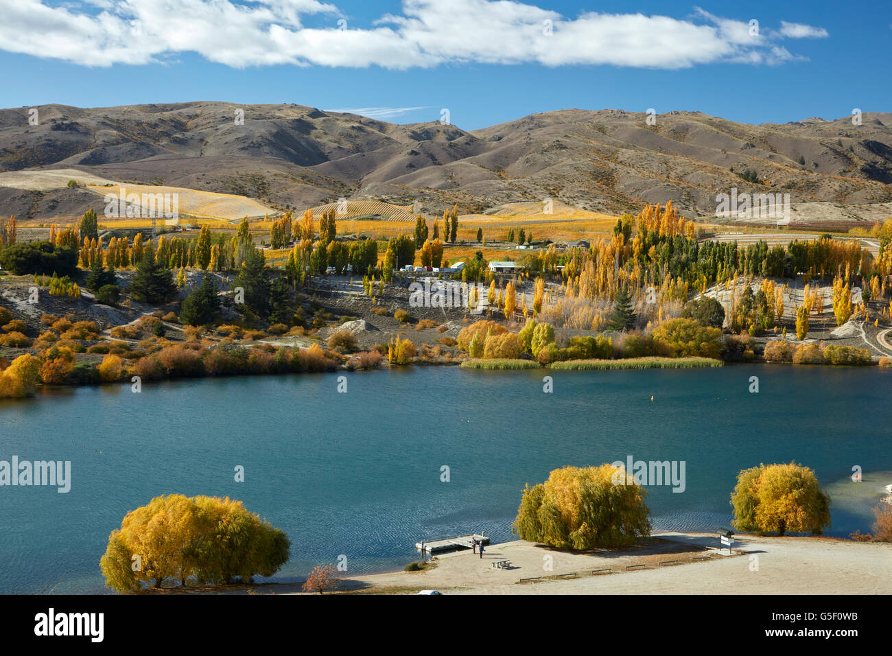 Autumn colours, Bannockburn Inlet, Lake Dunstan, Central Otago, South ...