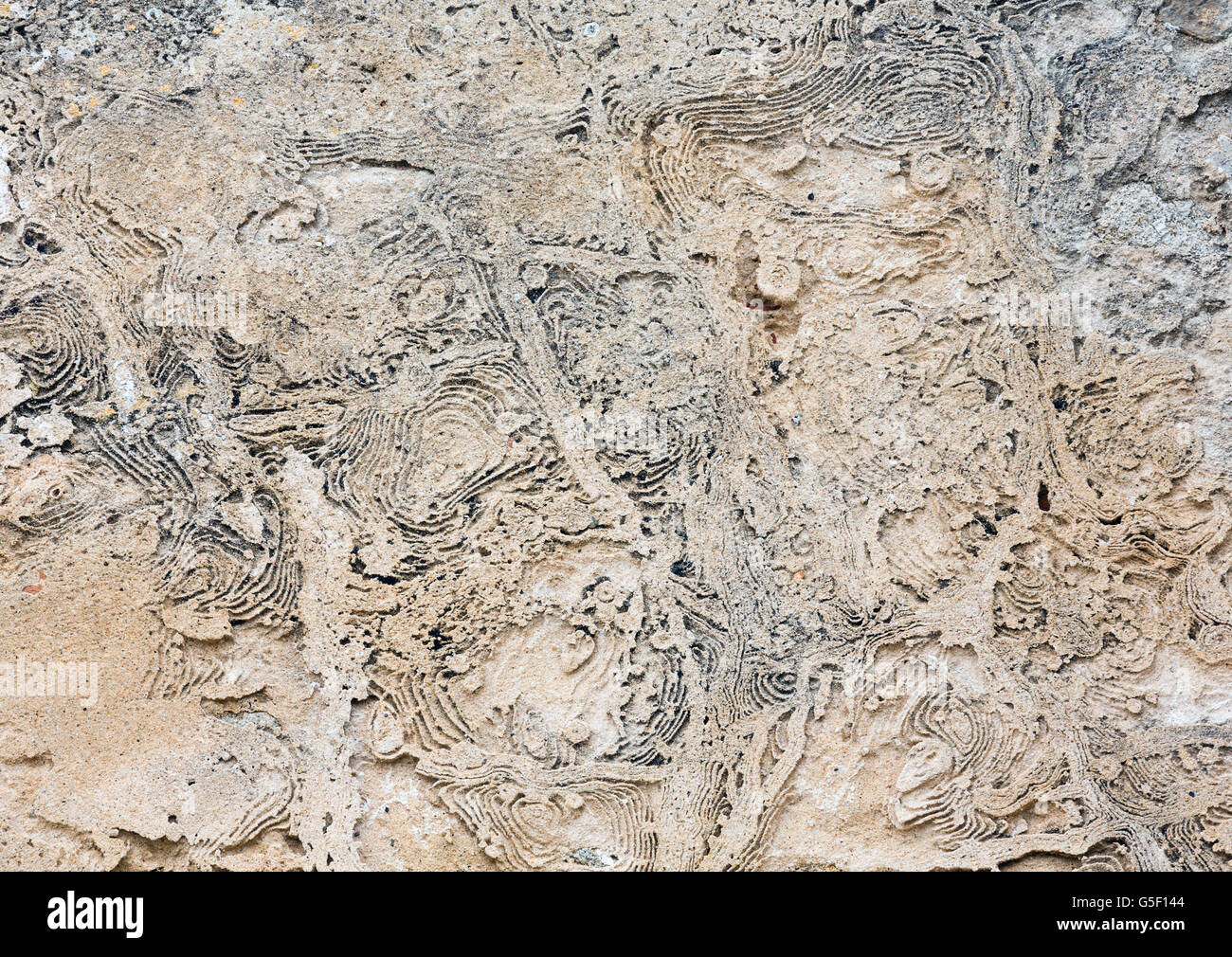Stony wall close up, background Stock Photo - Alamy