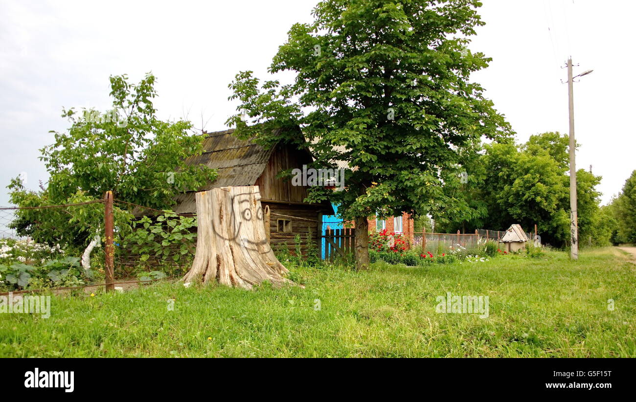 Rustic tree stump hi-res stock photography and images - Alamy
