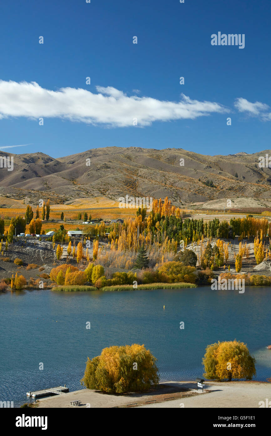 Autumn colours, Bannockburn Inlet, Lake Dunstan, Central Otago, South ...