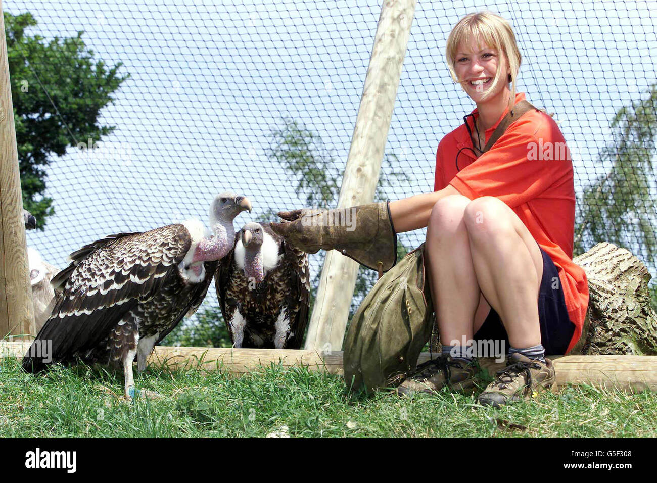 Foster the Vulture with his handler Jo Lobb in the aviary at Banham Zoo ...
