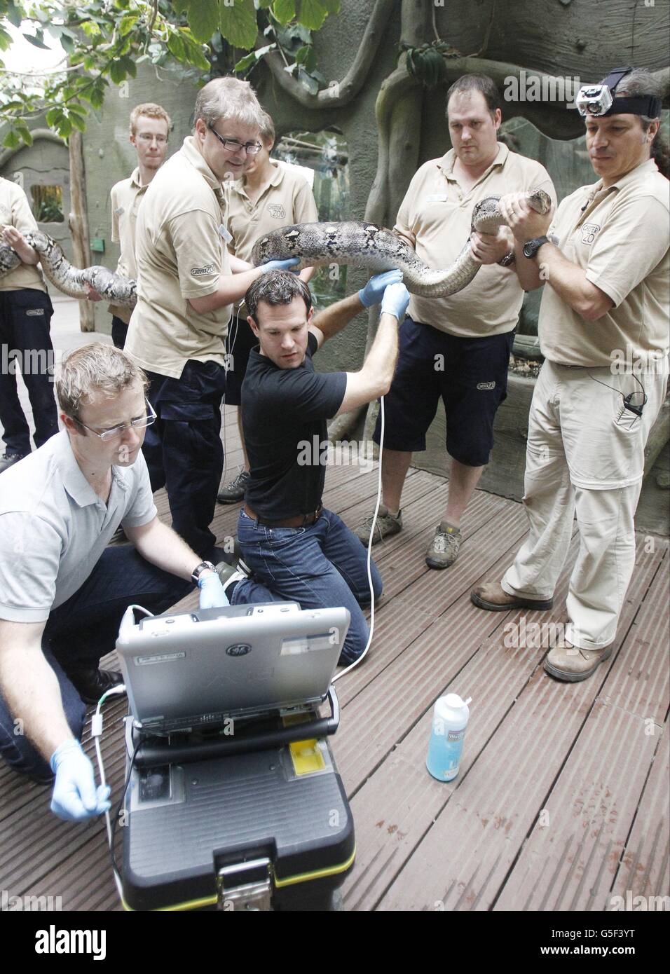 Zookeepers and Vets from Chester Zoo and Cardiologists from Cardiff Met ...