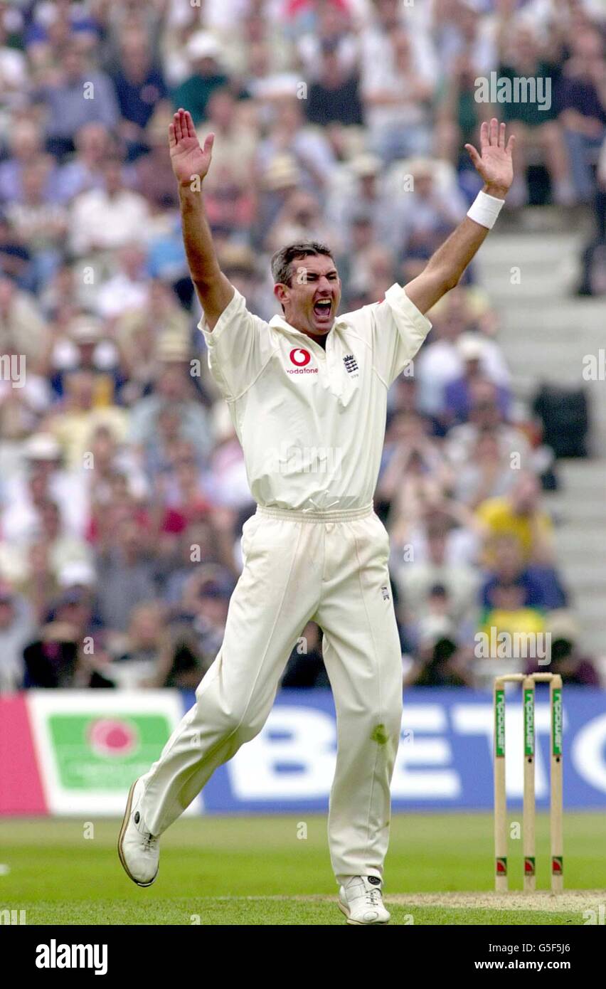 Sport cricket player andrew caddick hi-res stock photography and images ...